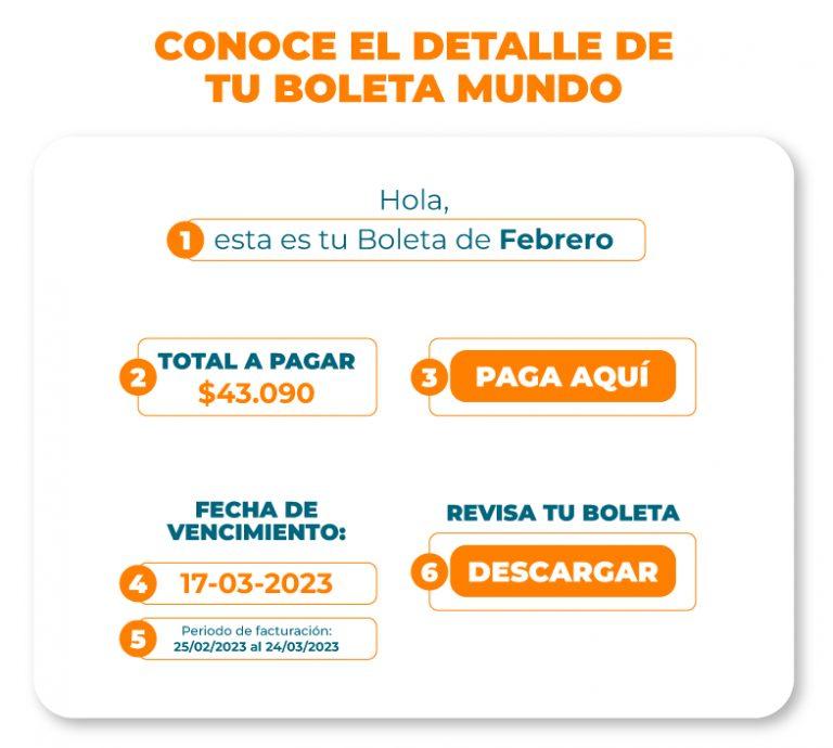 Te explicamos el correo de tu boleta - Tu Mundo